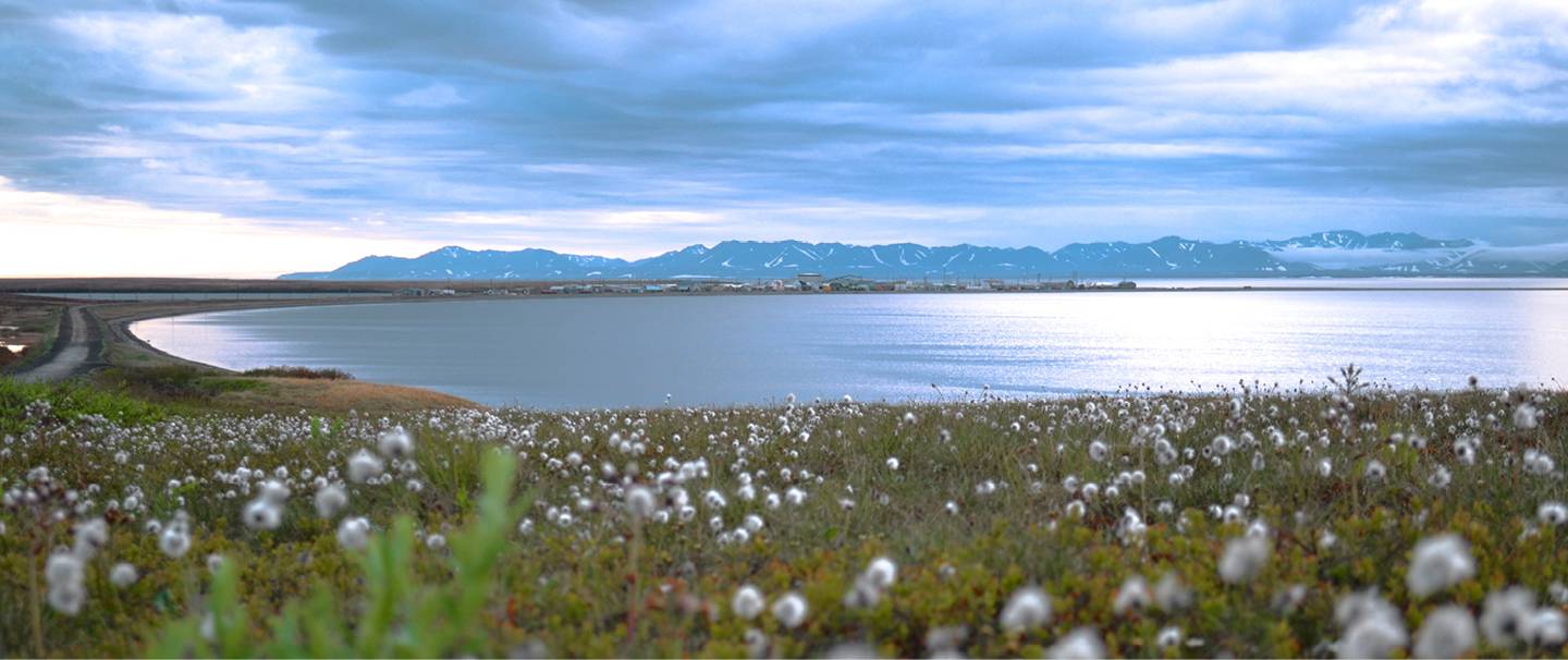 A Message from the Interim President and CEO