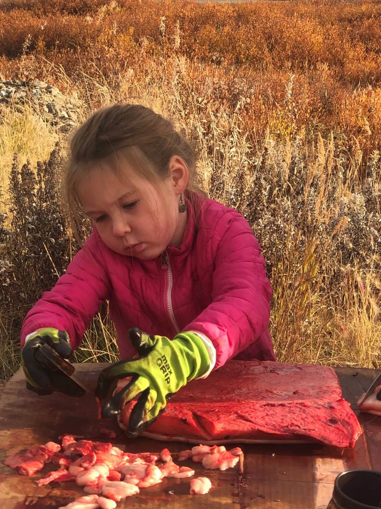 2022 Photo Contest Winners - Bering Straits