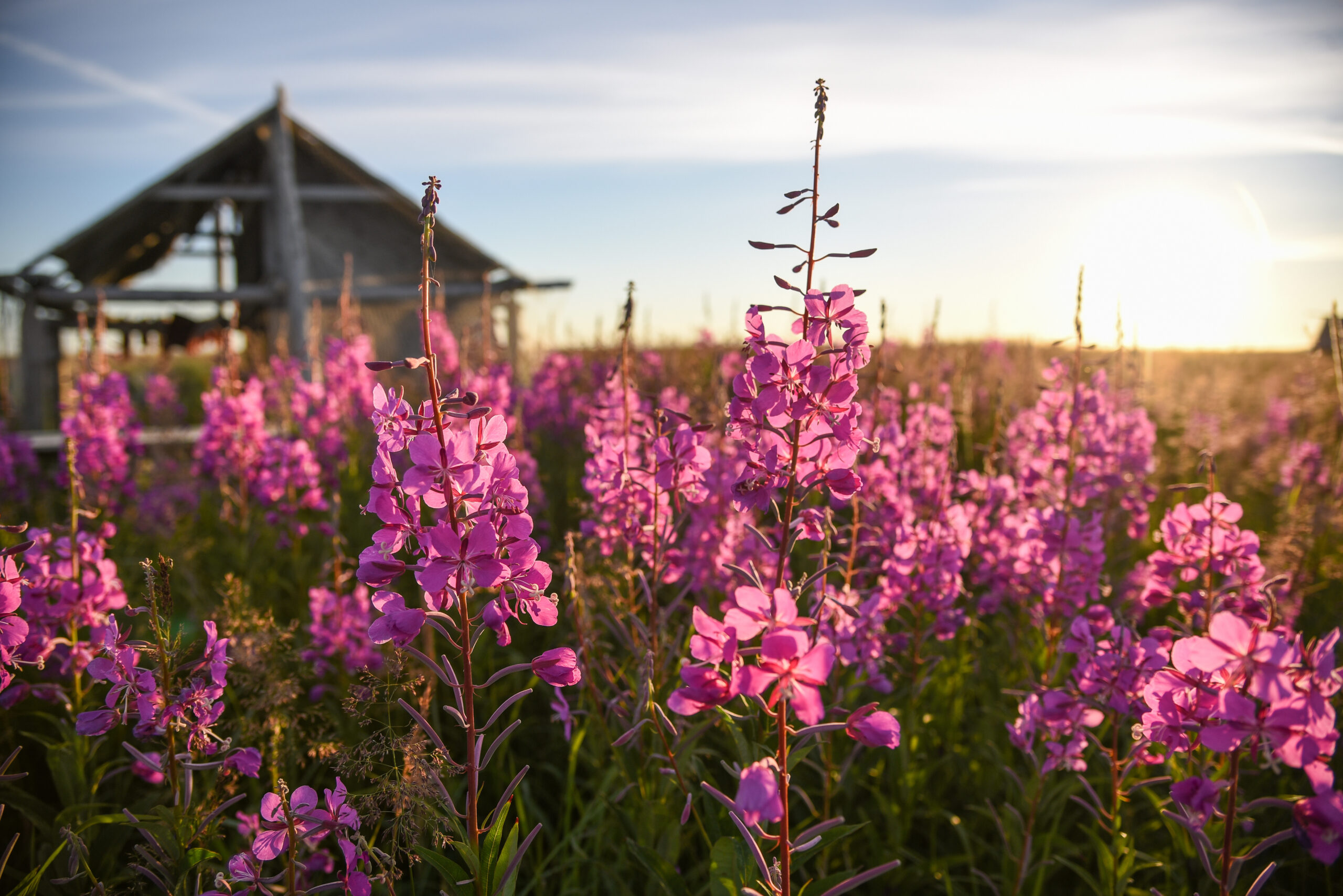 BSNC Welcomes 2023 Summer Interns