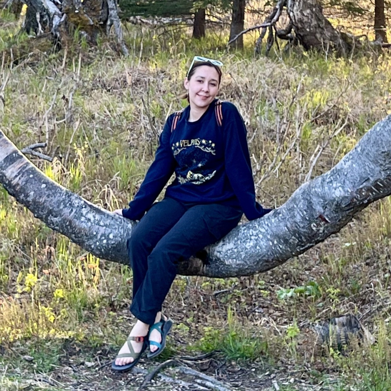 BSNC Welcomes Summer 2024 Interns