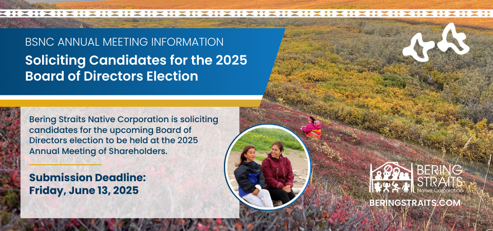 2025 Board Solicitation - Bering Straits